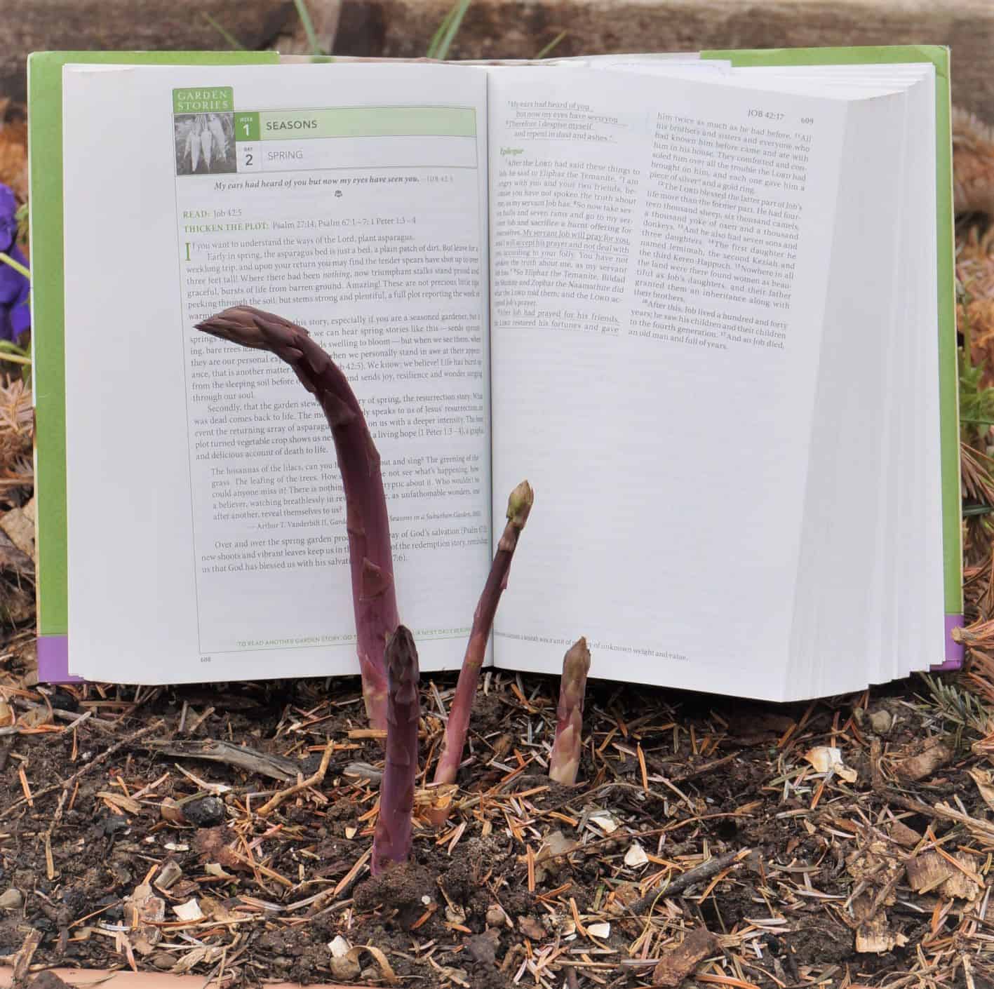 Spring Devotions - Garden In Delight