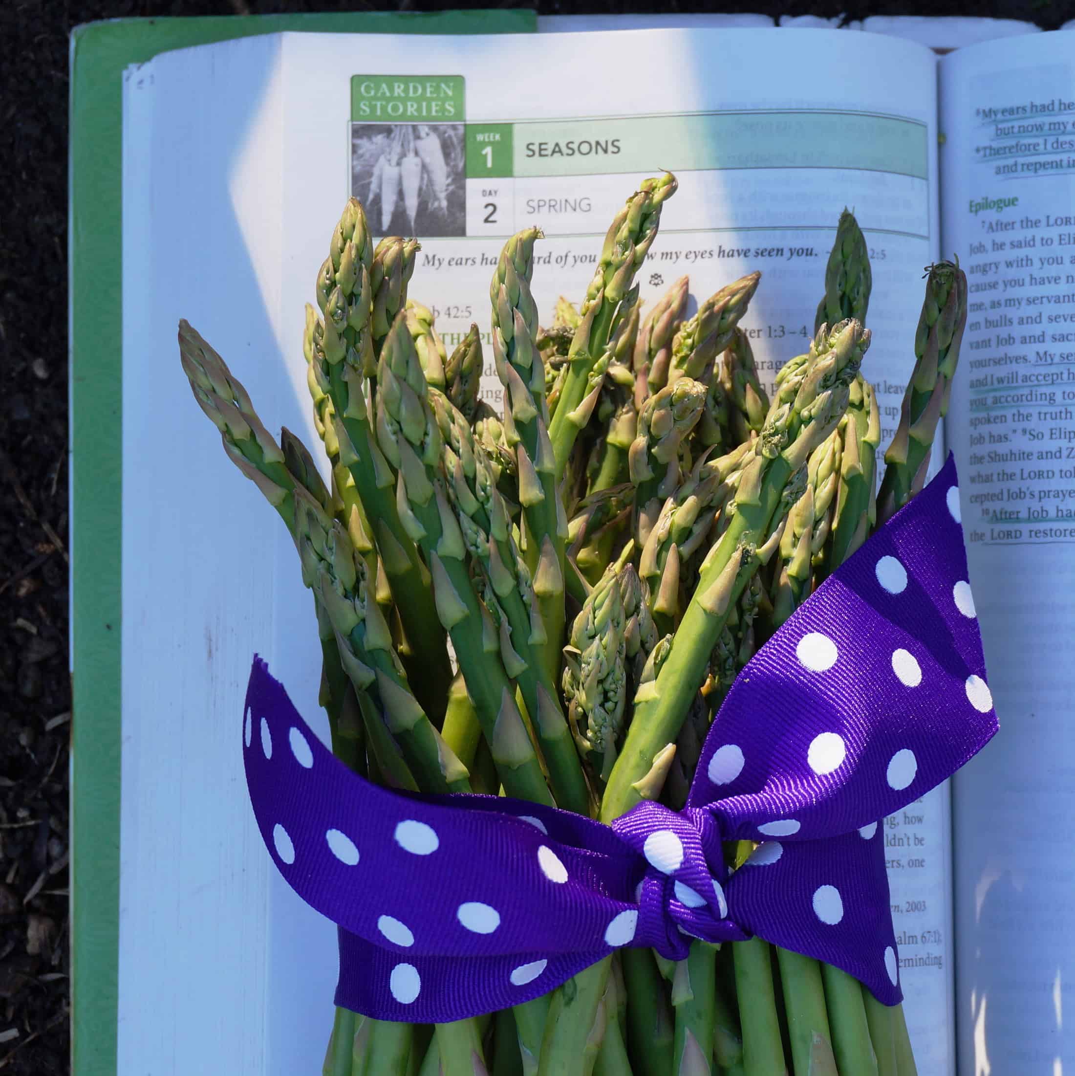 Celebrate Spring with God's Word for Gardeners - Garden In Delight