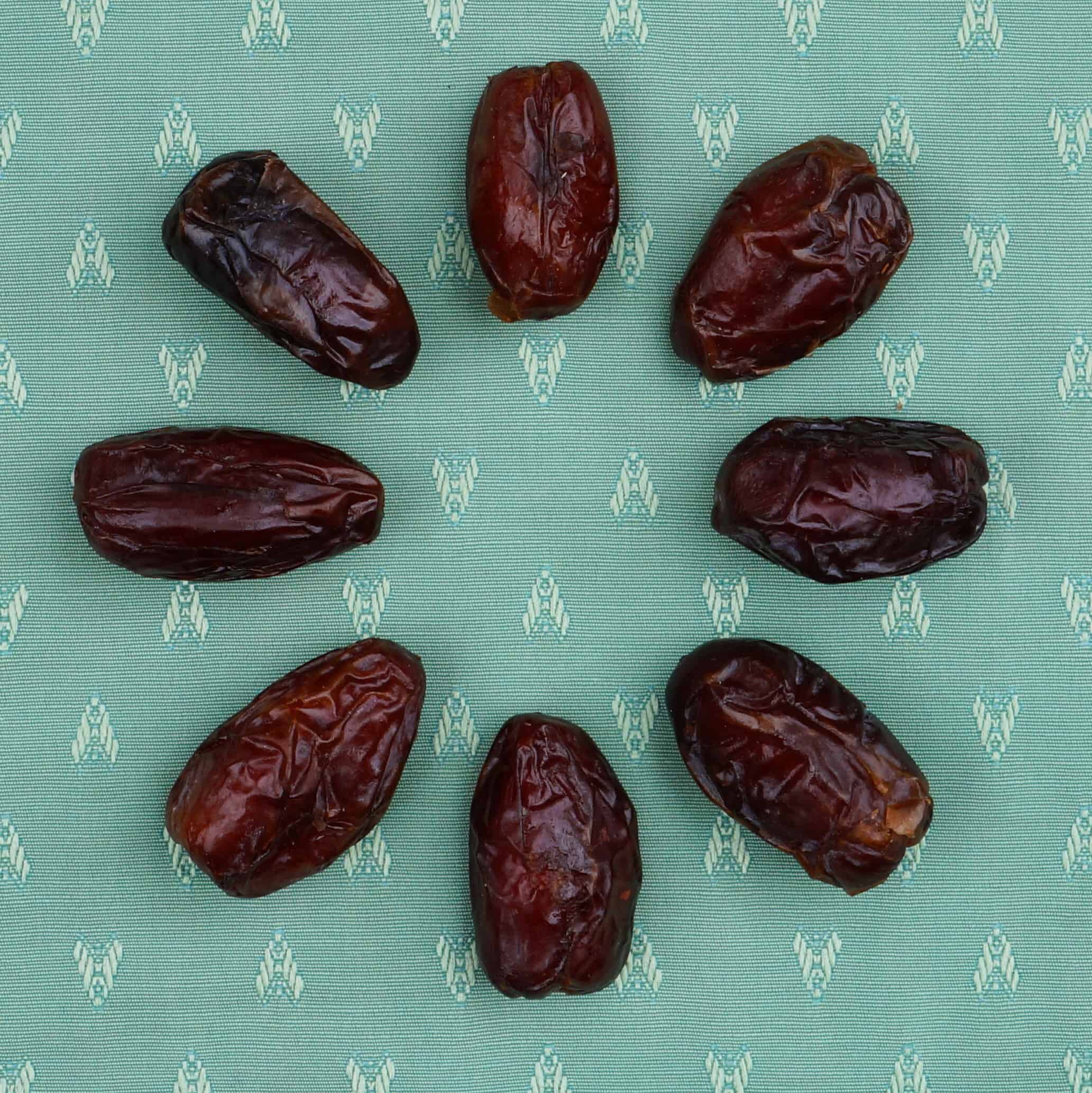 A Lenten Look at Trees: Palm - Garden In Delight