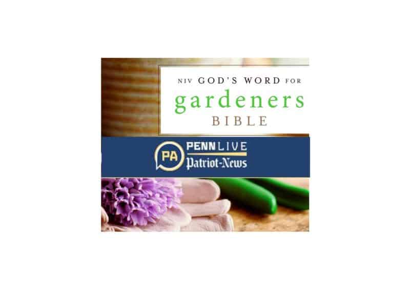 News Garden In Delight news-garden-in-delight