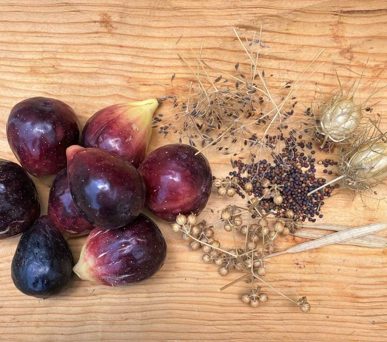 Seedtime and Harvest - Garden In Delight