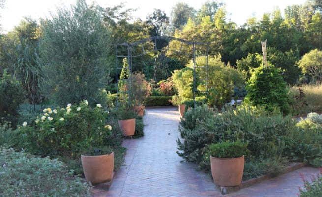 8 Great Plant Lists - Garden In Delight