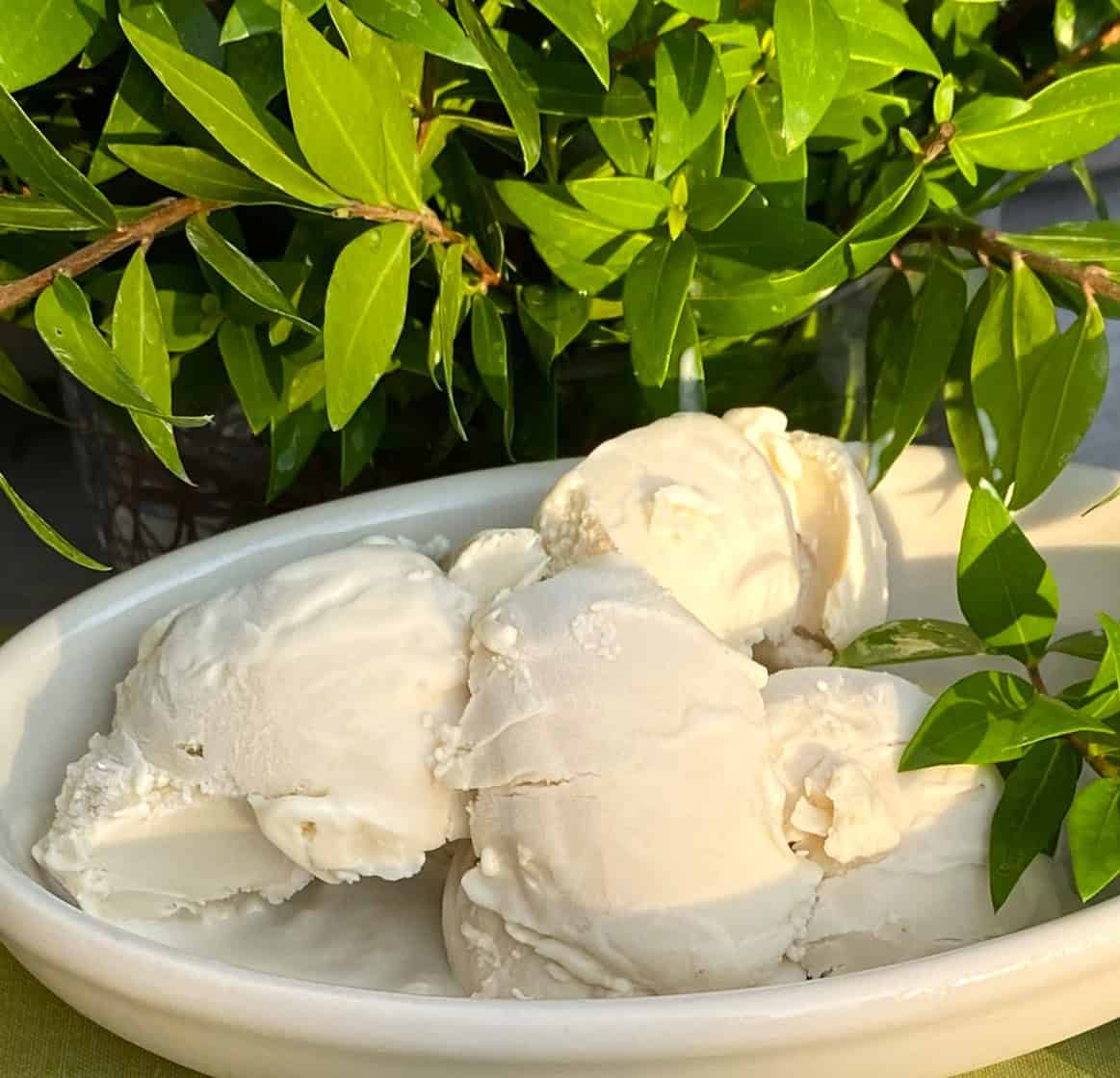Savor Summer with Myrtle Gelato - Garden In Delight