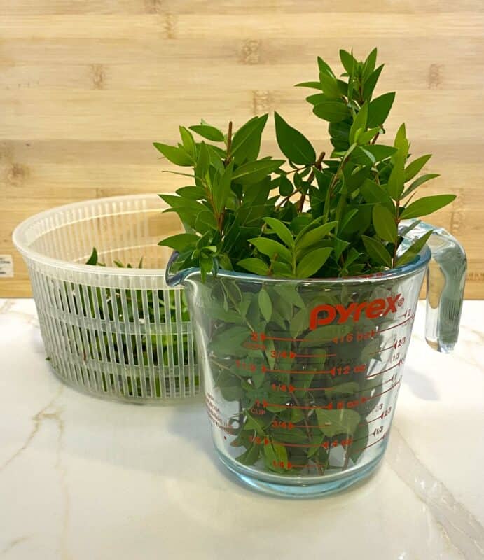 Savor Summer with Myrtle Gelato - Garden In Delight